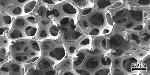 Particle Oxidation Catalysts
