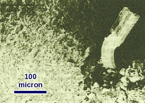 Metallic Catalyst Substrates