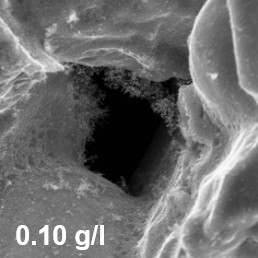 Diesel Particulate Filters