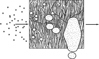 Crankcase Ventilation